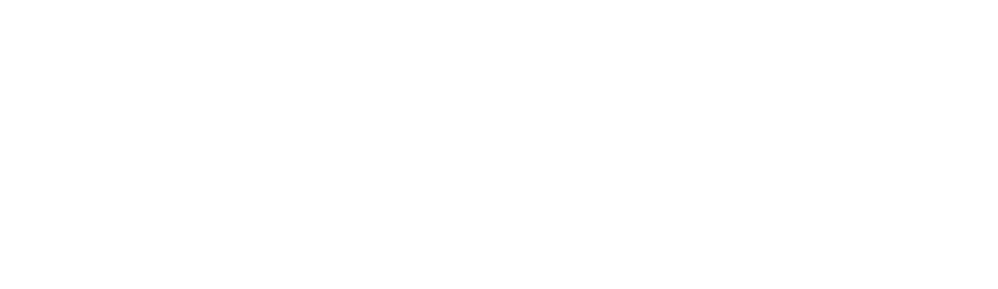 Paperwhite Floral Design